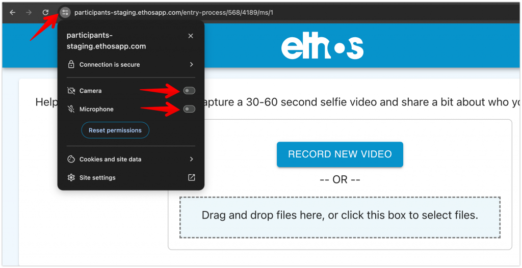 Video Survey: Participant Help Center – EthOS – Help Center